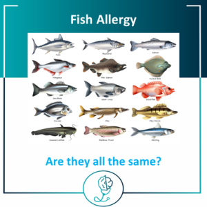 Fish Allergy | The Childrens Allergy | Private Paediatric Allergy Clinic